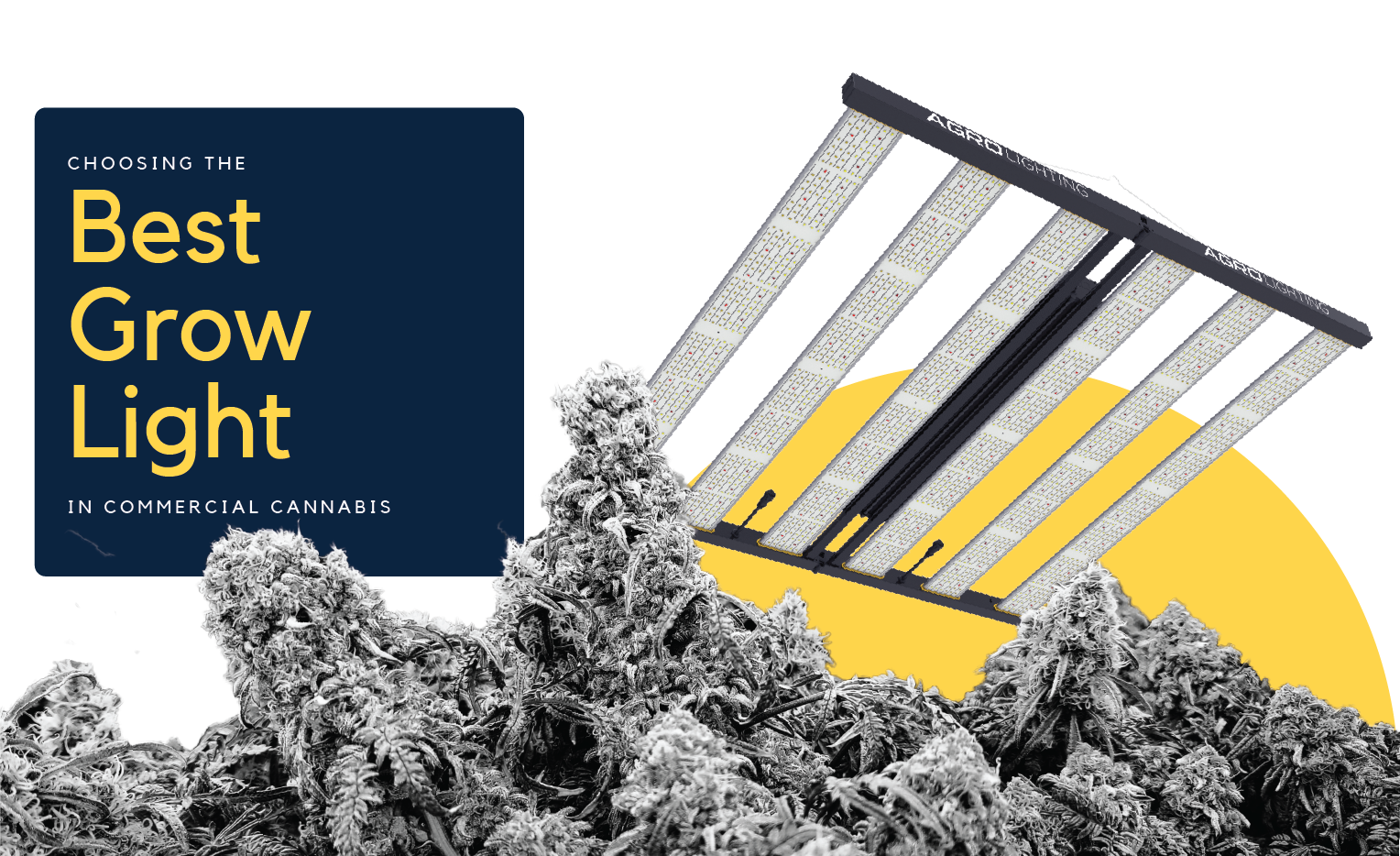 Grow better with Agro